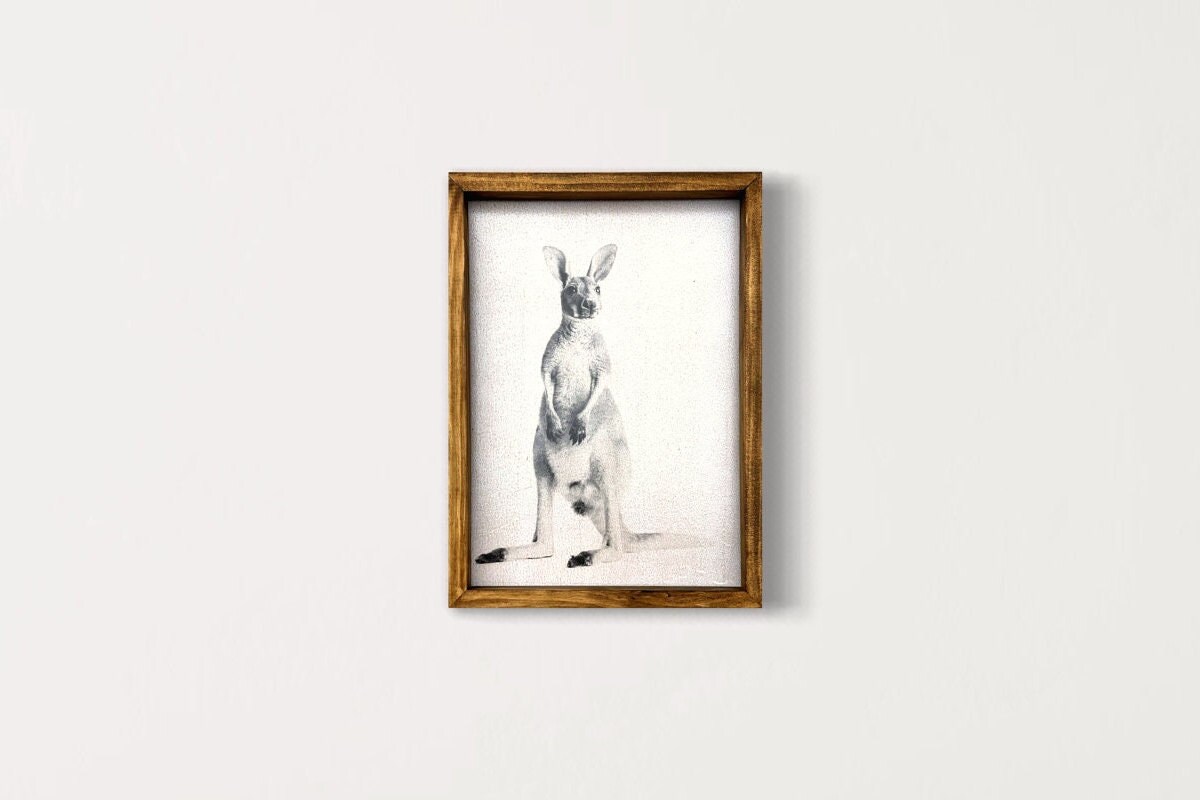 Australian Animals Collection Frame - Kangaroo - Etsy