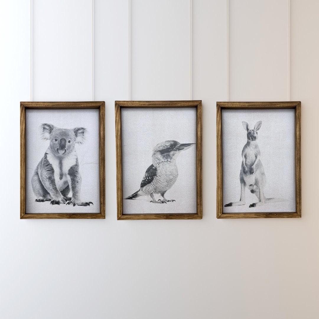 Australian Animals Collection Frame - Kangaroo - Etsy