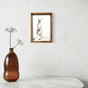 Australian Animals Collection Frame - Kangaroo - Etsy