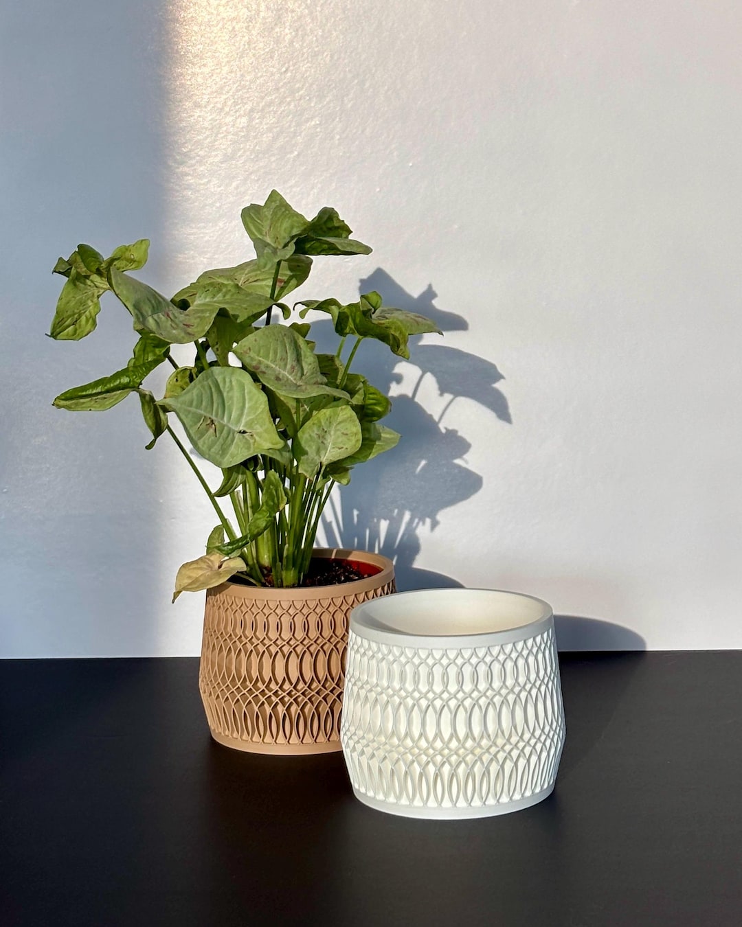 Modern Stylish Plant Pot - Unique Textured Indoor Planter for Home ...