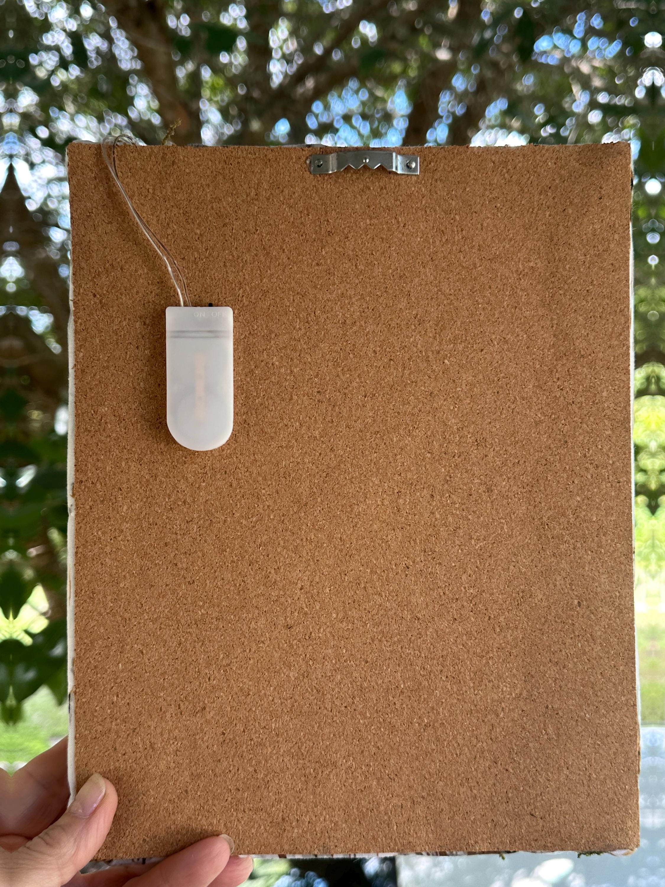 A "busted Canvas" 8x10 W/lights. A Buck (deer) in the Woods Surrounded ...