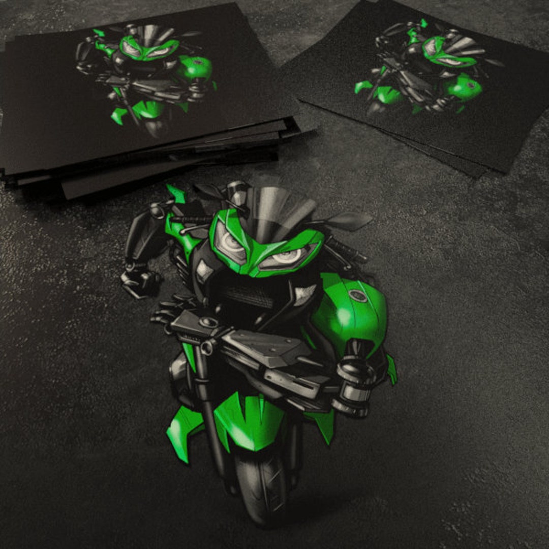 Kawasaki Ninja 300 Inspired Stickers - Set of 3 Motorcycle Decals for ...