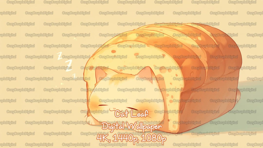 Cat Loaf (4K, 1440p, 1080p) Digital Wallpaper, Cute, Cat, Kawaii ...