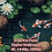 8 Bit Koi Pond Digital Wallpaper (4K, 1440p, 1080p) Koi Fish, Pond ...
