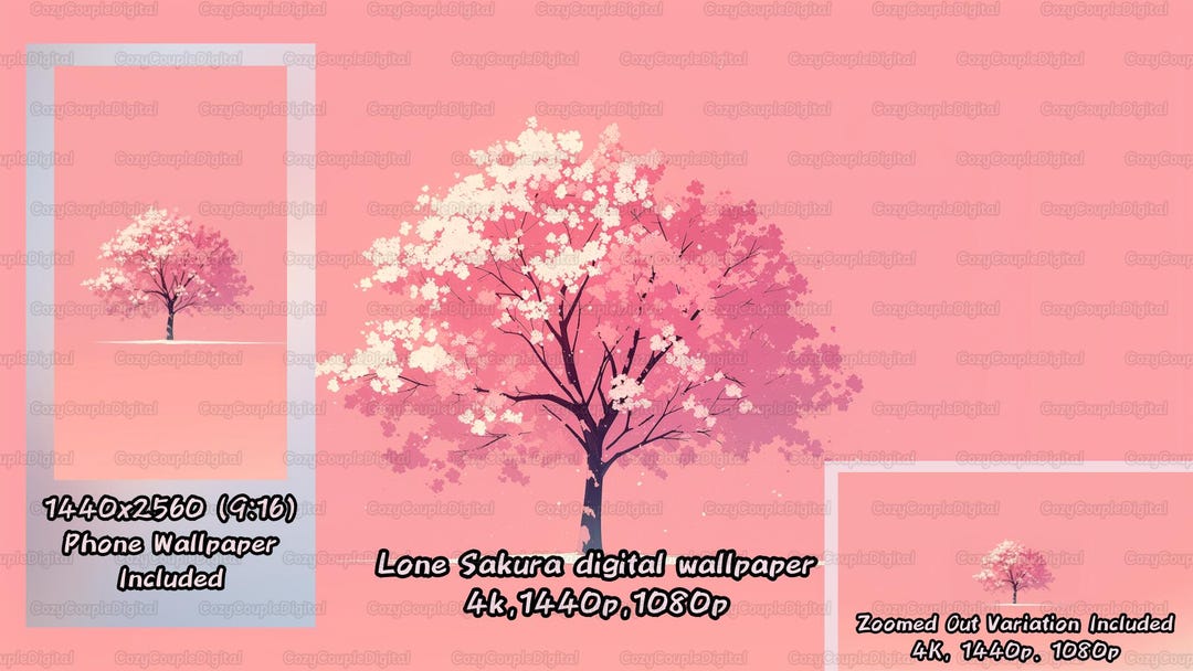Lone Sakura Digital Wallpaper (4K, 1440p, 1080p), 1440p Phone Wallpaper ...