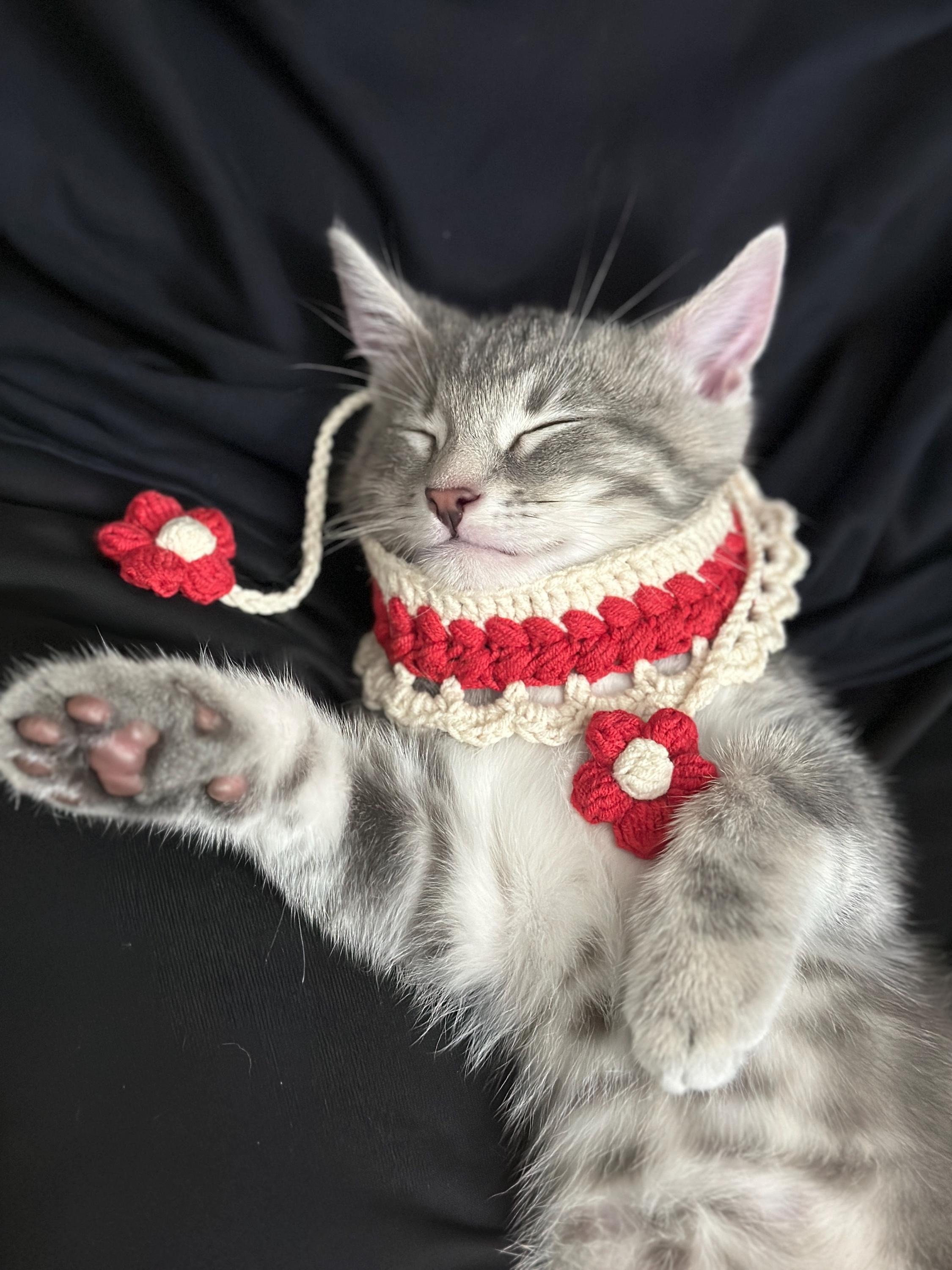 English PDF Pattern, Crochet Pattern, Wheat Crochet Collar, Pet Collar ...