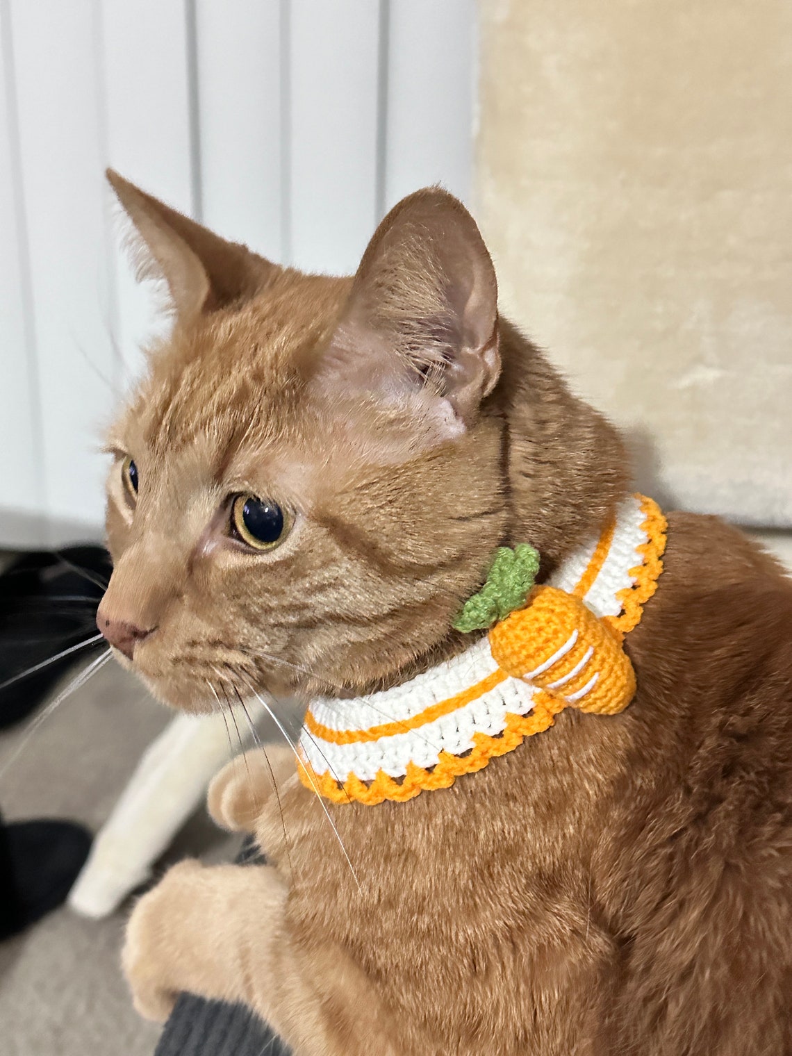 3 in 1 Pattern in English, PDF, Pet Collar, Carrot Cat Collar, Pet ...
