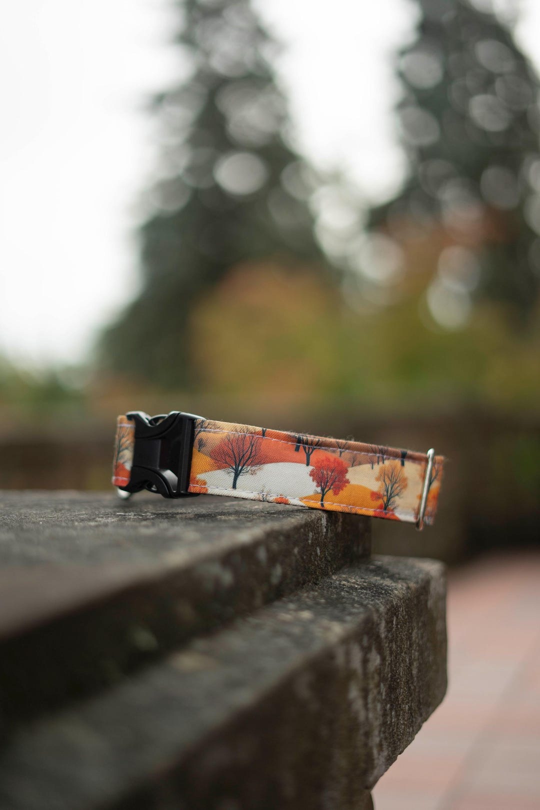 Recycled Canvas Dog Collar: Fall Foliage Adventure Collar, Buckle Style ...