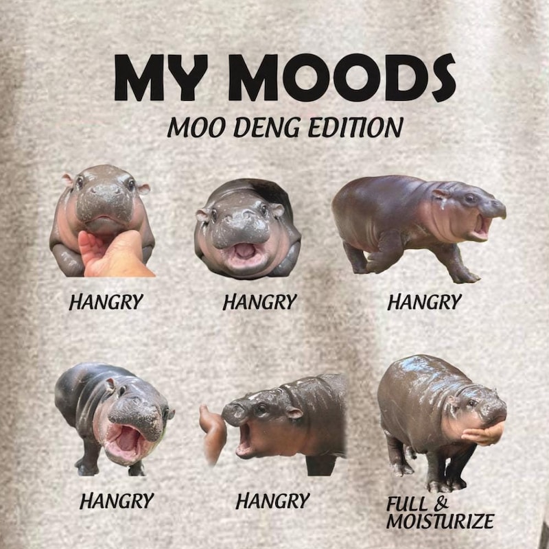 Moo Deng Shirt - Etsy