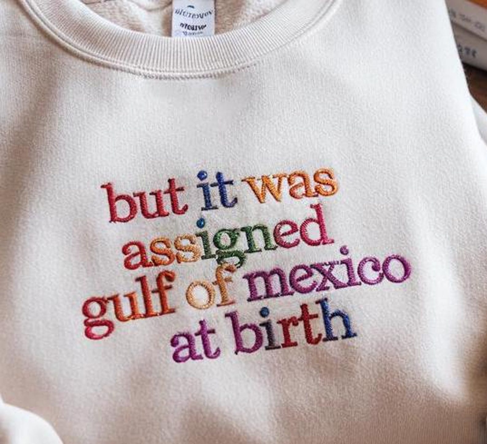 Embroidered Gulf of Mexico Sweatshirt, Sarcastic Anti America Tee - Etsy