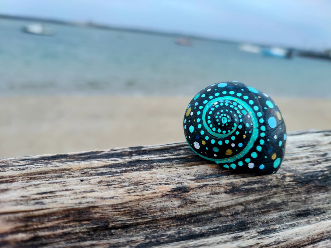 Moon Snail Shell - Hand Painted - Etsy