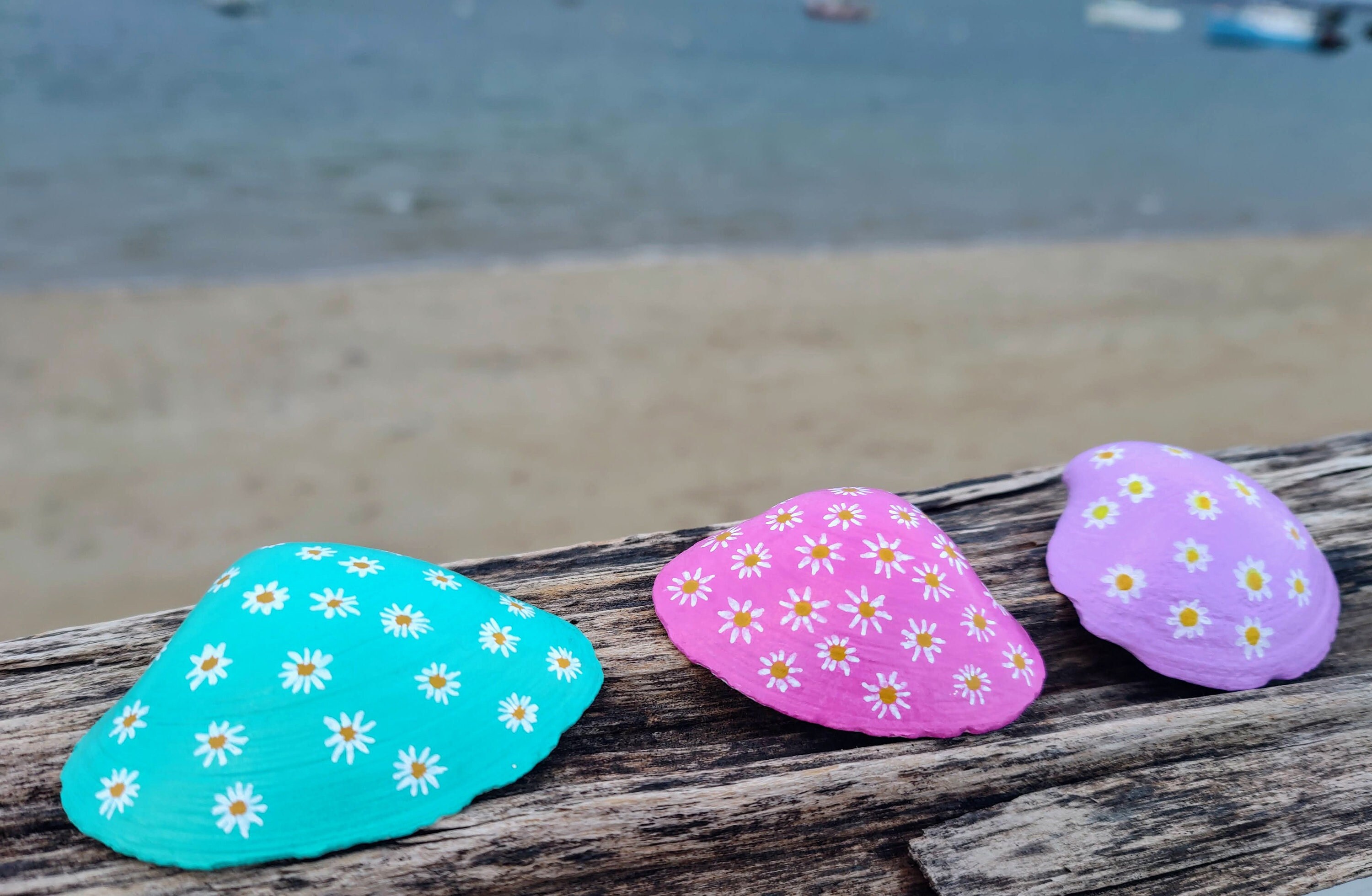 Hand Painted Clam Shell With Daisy - Etsy