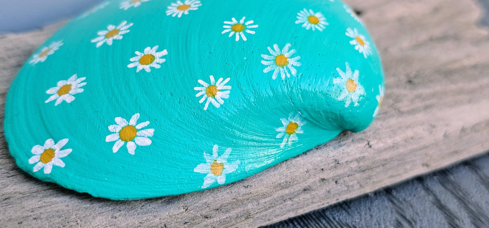 Hand Painted Clam Shell With Daisy - Etsy