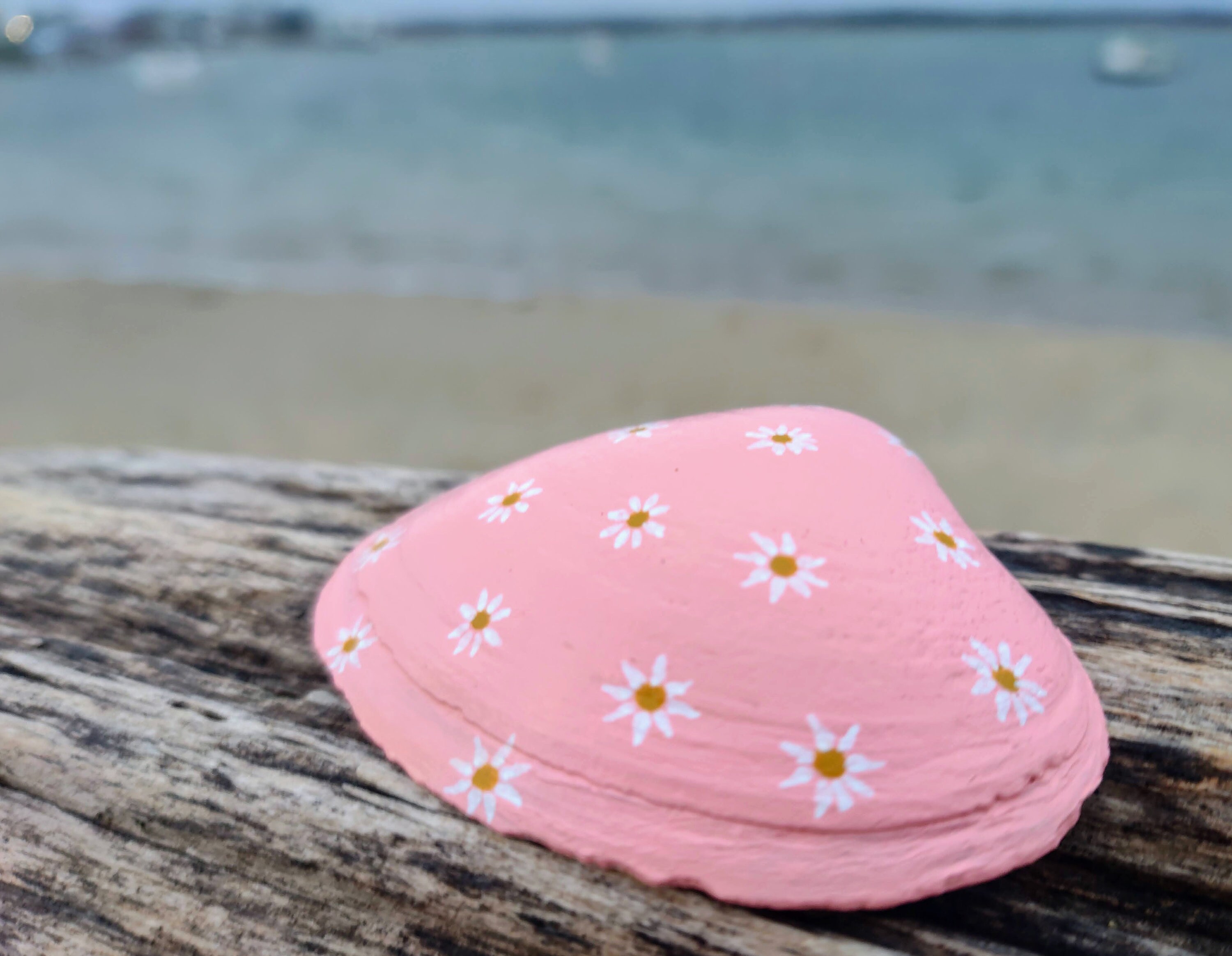 Hand Painted Clam Shell With Daisy - Etsy