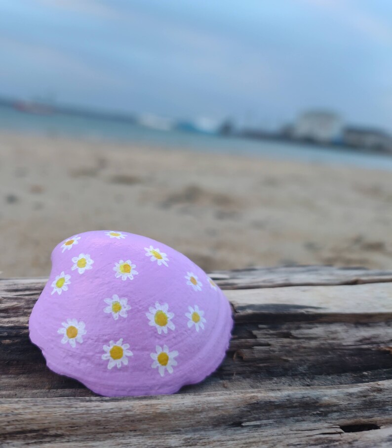 Hand Painted Clam Shell With Daisy - Etsy