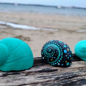 Moon Snail Shell - Hand Painted - Etsy