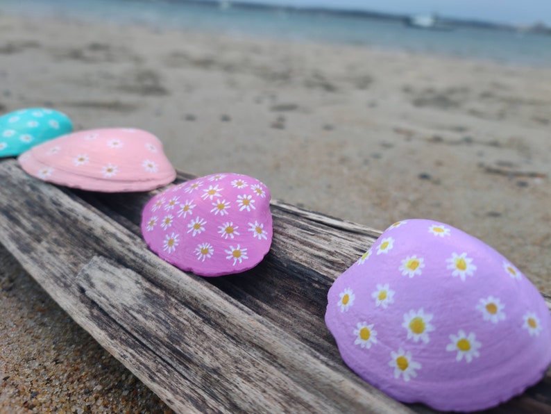Hand Painted Clam Shell With Daisy - Etsy