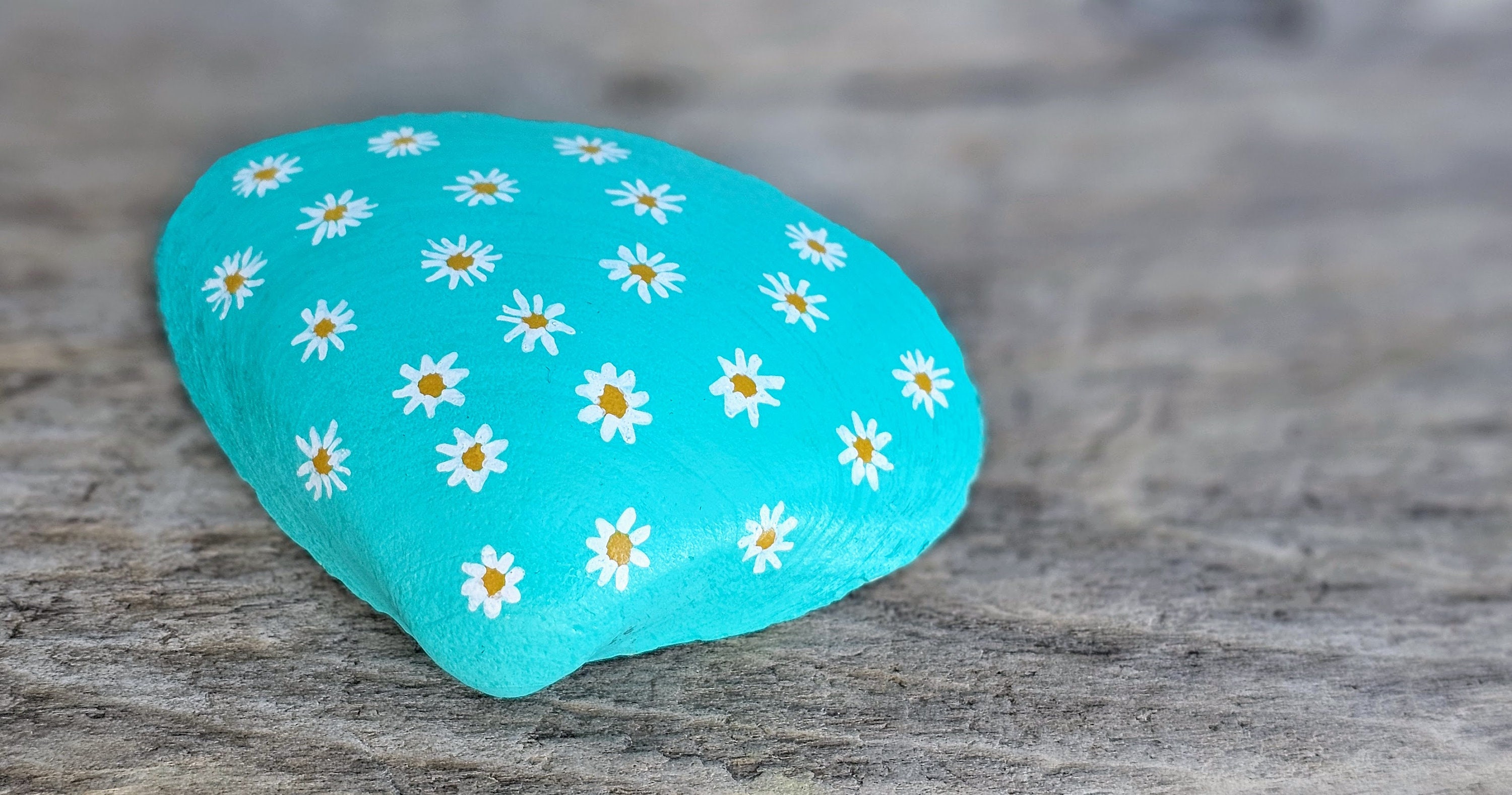 Hand Painted Clam Shell With Daisy - Etsy