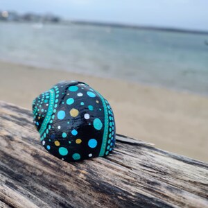 Moon Snail Shell - Hand Painted - Etsy