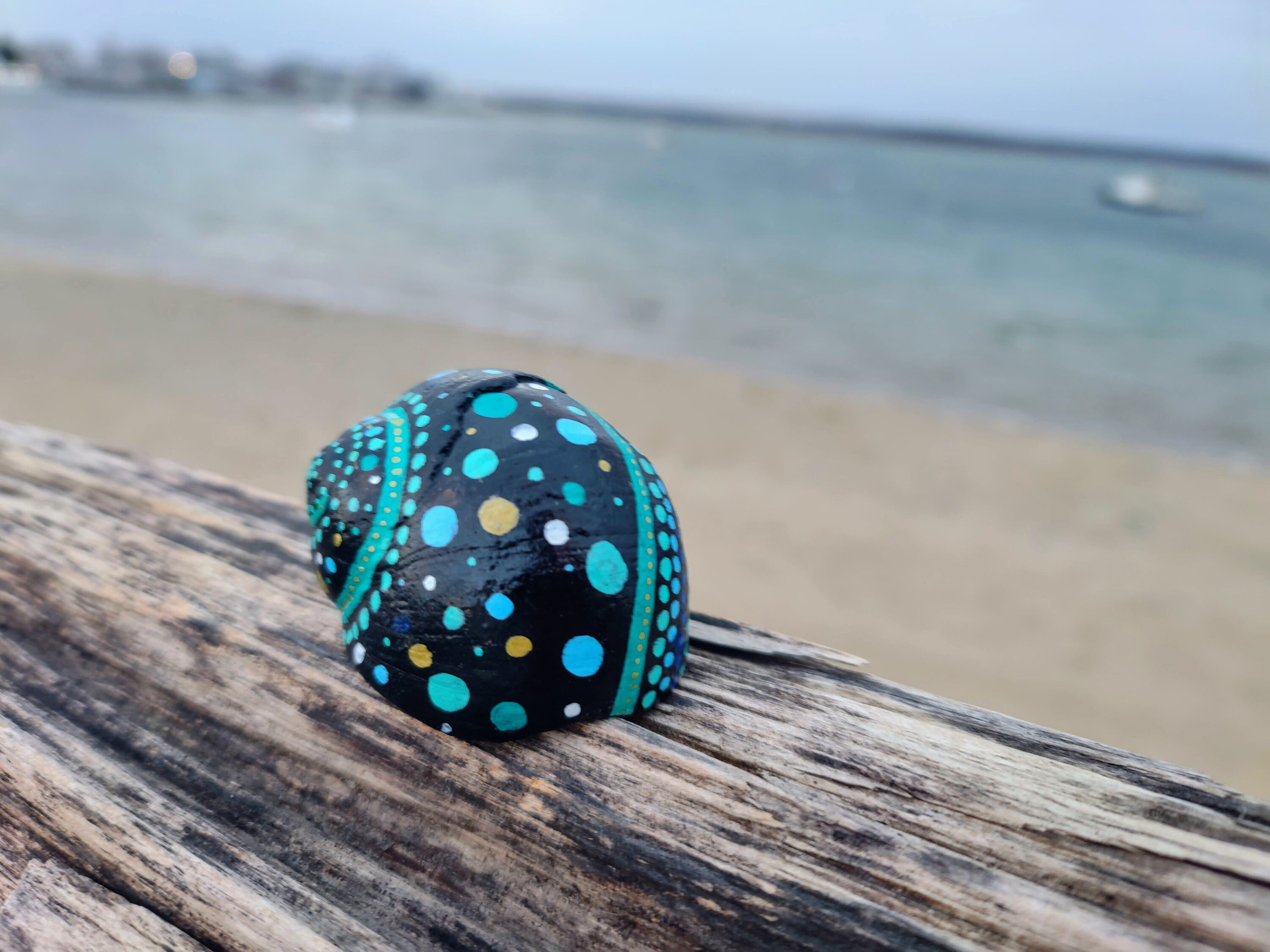 Moon Snail Shell - Hand Painted - Etsy