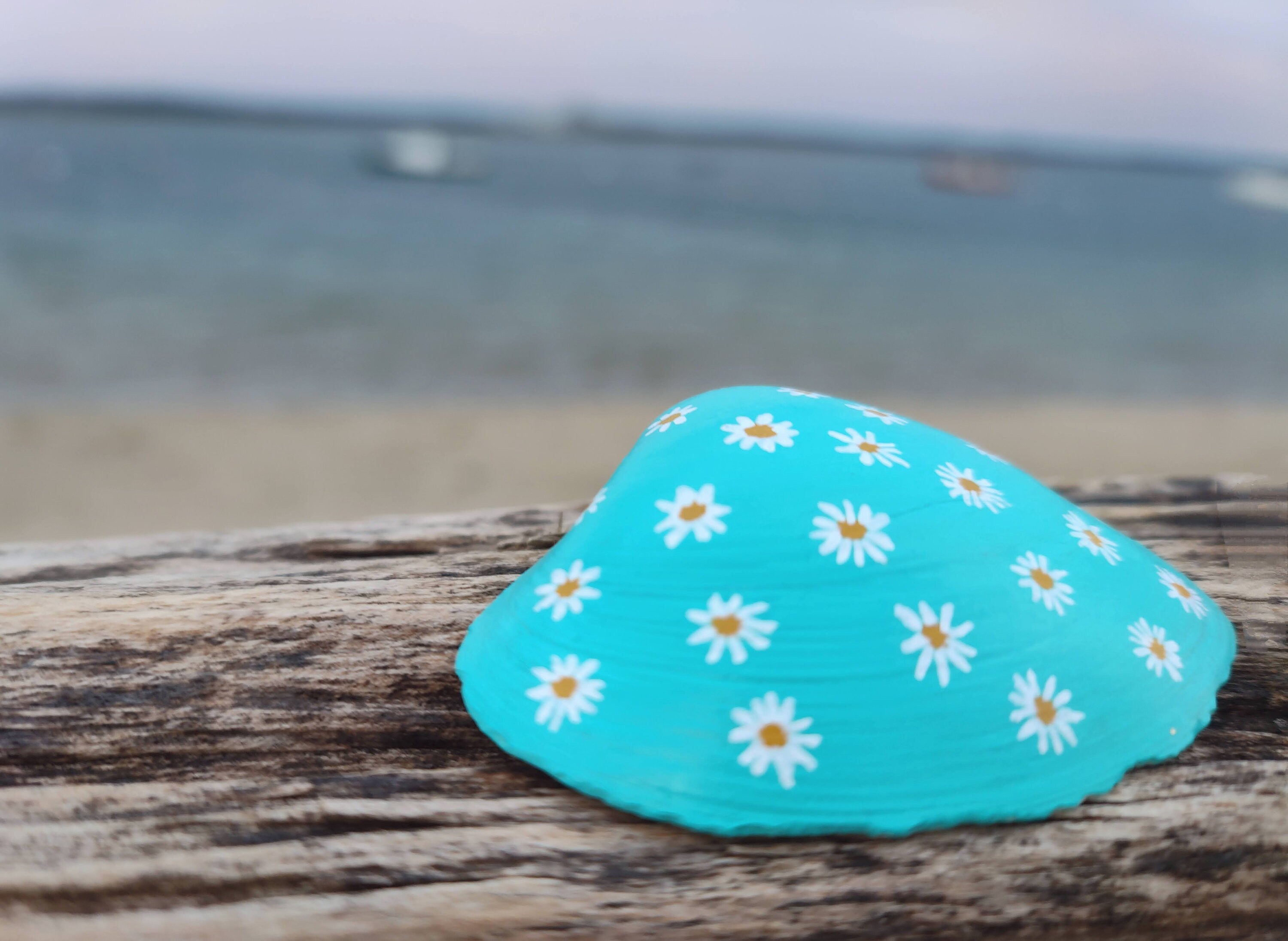 Hand Painted Clam Shell With Daisy - Etsy