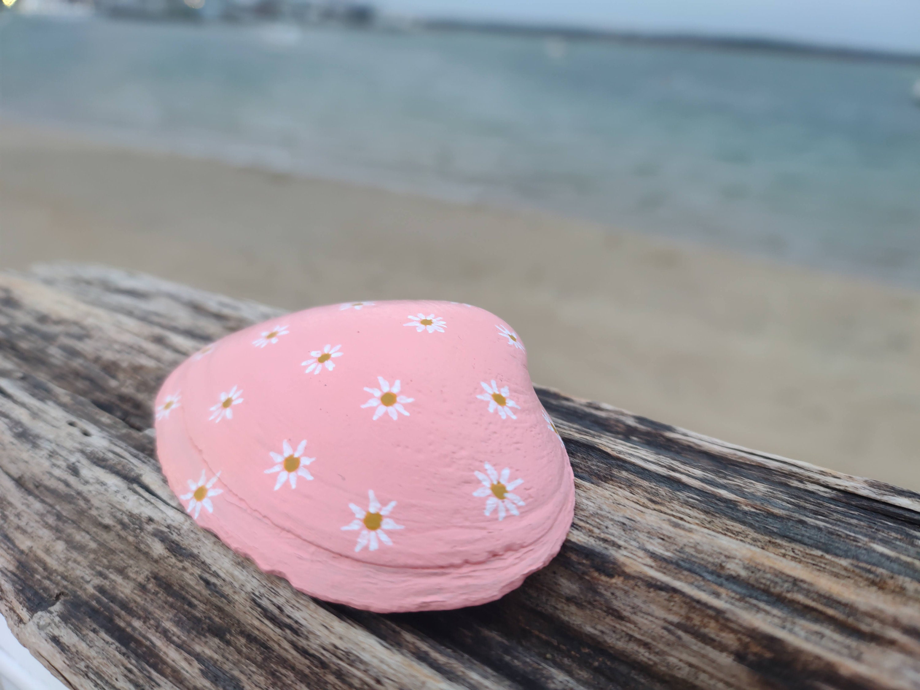 Hand Painted Clam Shell With Daisy - Etsy