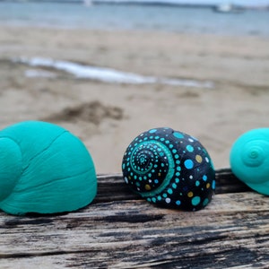 Moon Snail Shell - Hand Painted - Etsy