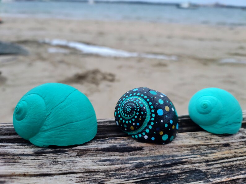 Moon Snail Shell - Hand Painted - Etsy