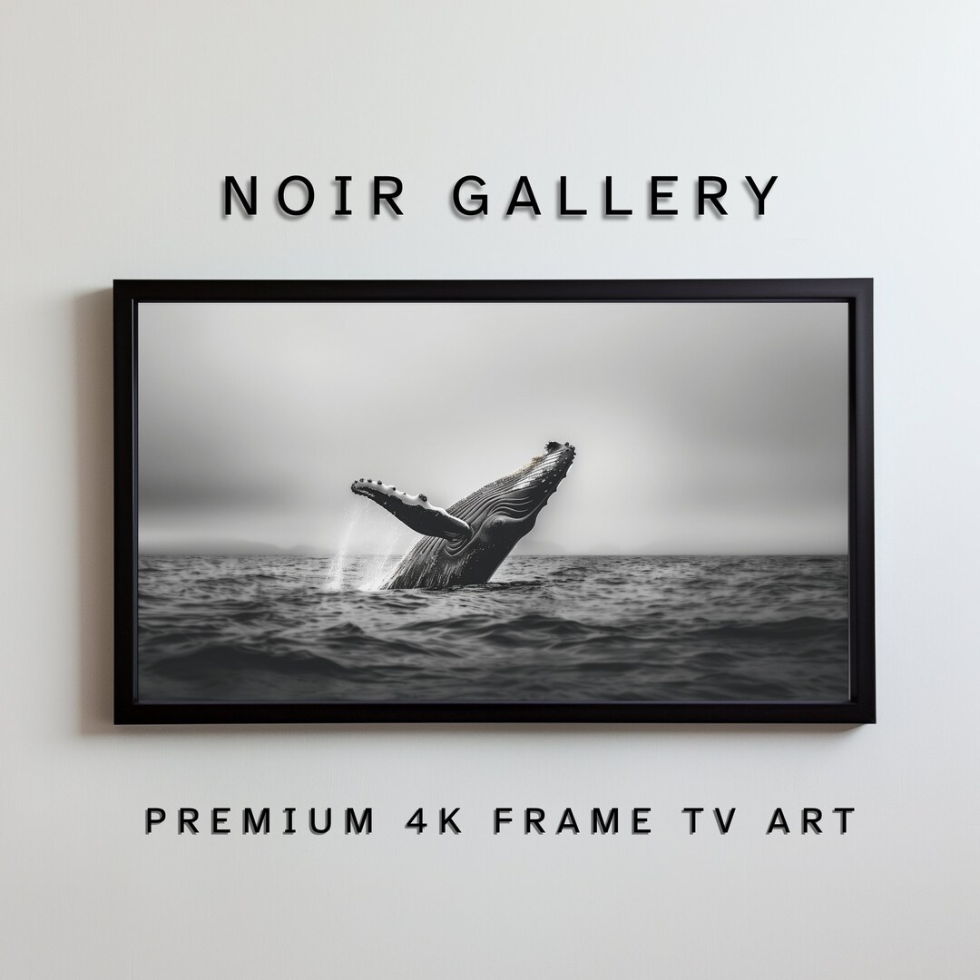 Humpback Whale Breaching Surface Animals Premium 4K Frame TV Art ...