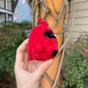 Crochet Cardinal Bird Plushie, Kawaii Cute Chubby Birds, Crochet ...