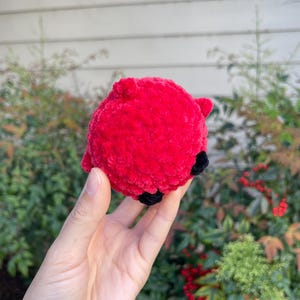 Crochet Cardinal Bird Plushie, Kawaii Cute Chubby Birds, Crochet ...