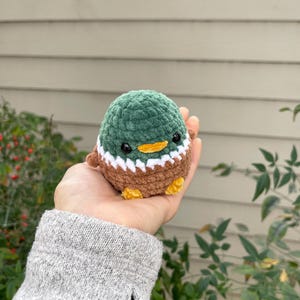 Crochet Bird Plushie: Kawaii Chubby Chicken, Duck, Rooster - Custom ...