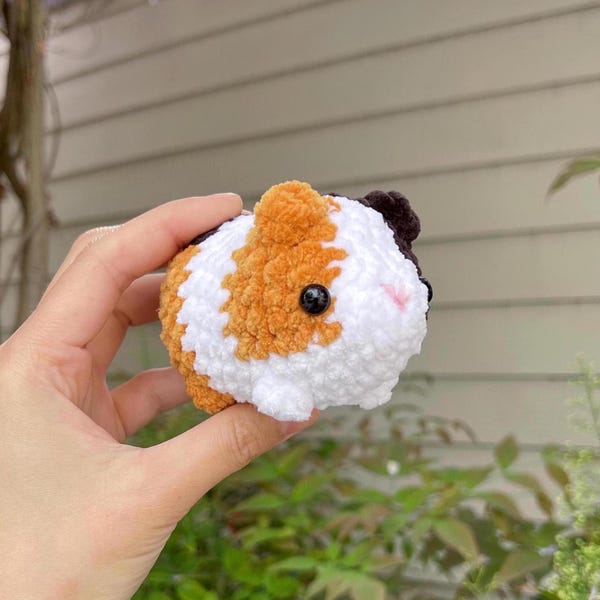 Stuff for Pet Rodents - Etsy