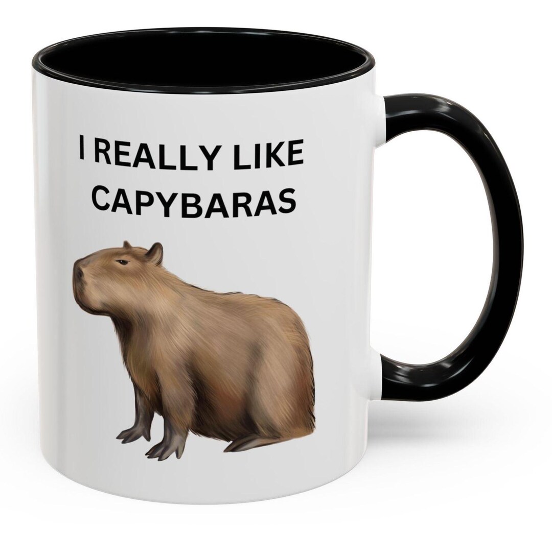 Funny Capybara Coffee Mug - I Really Like Capybaras, Animal Lover Gift ...