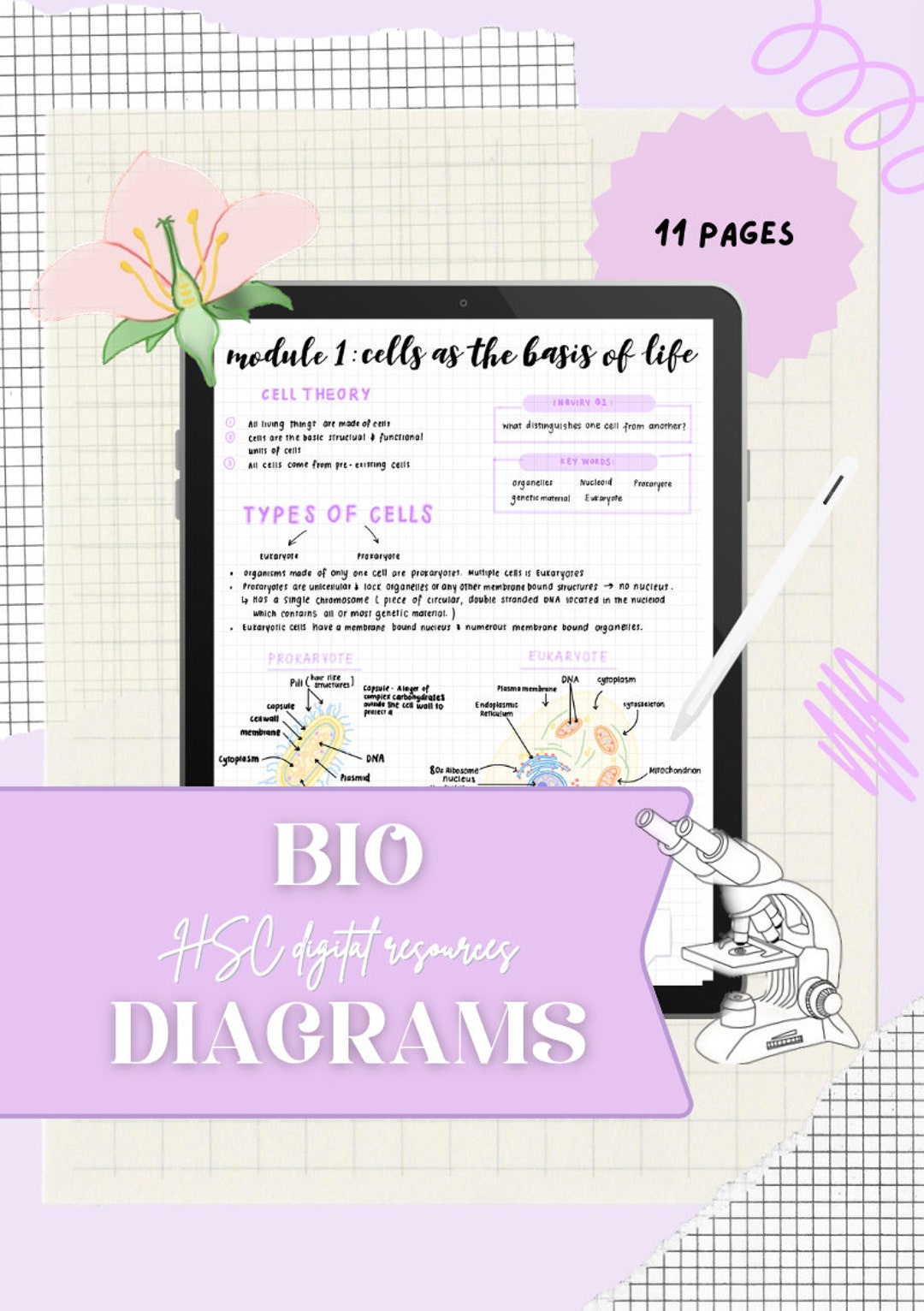 HSC Bio Digital Diagrams - Etsy