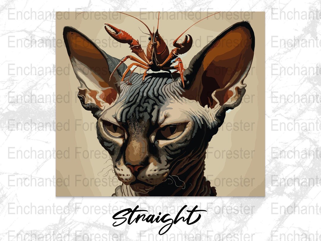 Funny Hairless Cat Cuteness Crawfish Cat Wrap, Catful Pet, Sphynx Cat ...