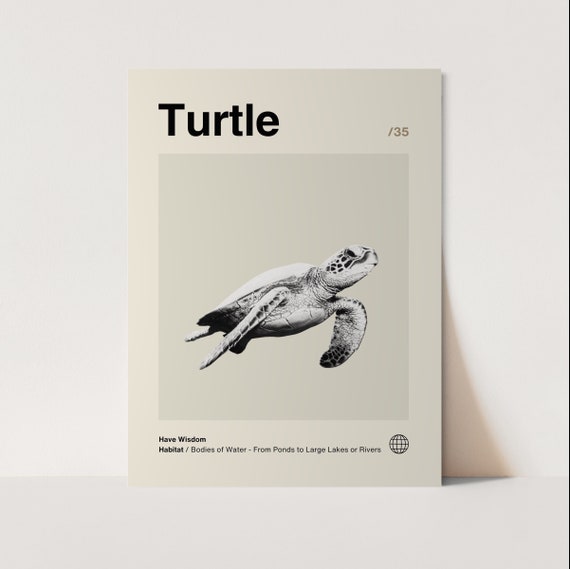 Minimalism Art Turtle Realistic Minimalist Sea Turtle Line