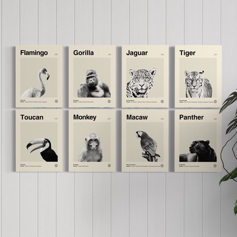 Jungle Animals Bundle Posters, Minimalist, Helvetica, Mid-century ...
