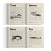 Fish Art Bundle, Fish Bundle Posters, Minimalist, Helvetica, Mid ...