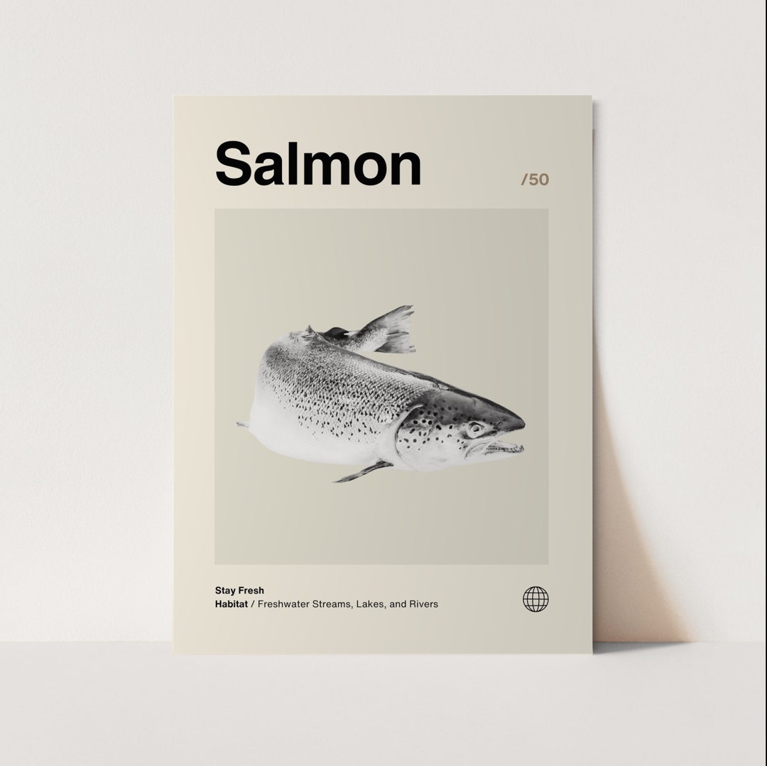 Salmon Poster, Minimalist, Helvetica, Mid-century Modern, Salmon Print ...