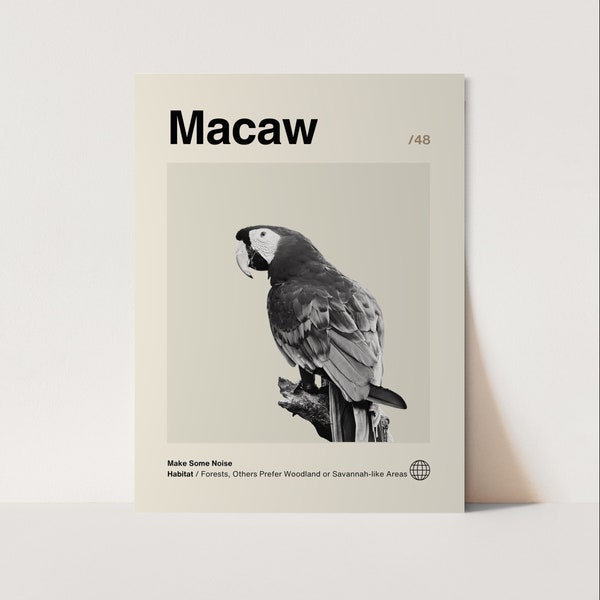 Macaw Poster - Etsy