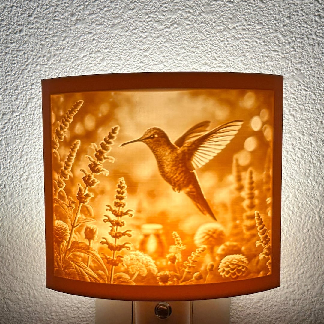Hummingbird Night Light – Auto On/off Plug-in LED – Floral Wall Decor ...