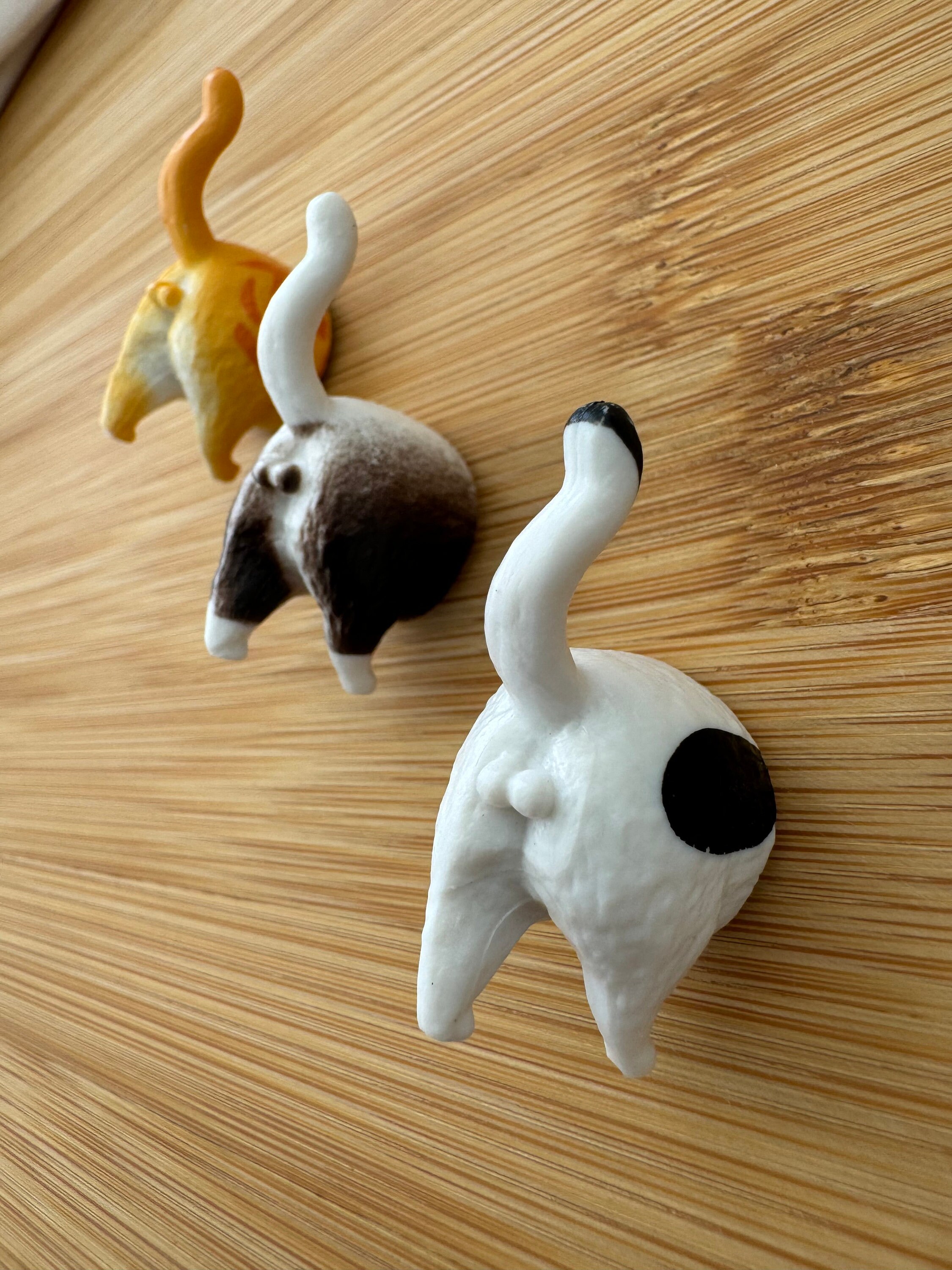 Cute Cat Bum Fridge Magnets Funny Fridge Magnets Fun Fridge Magnets ...