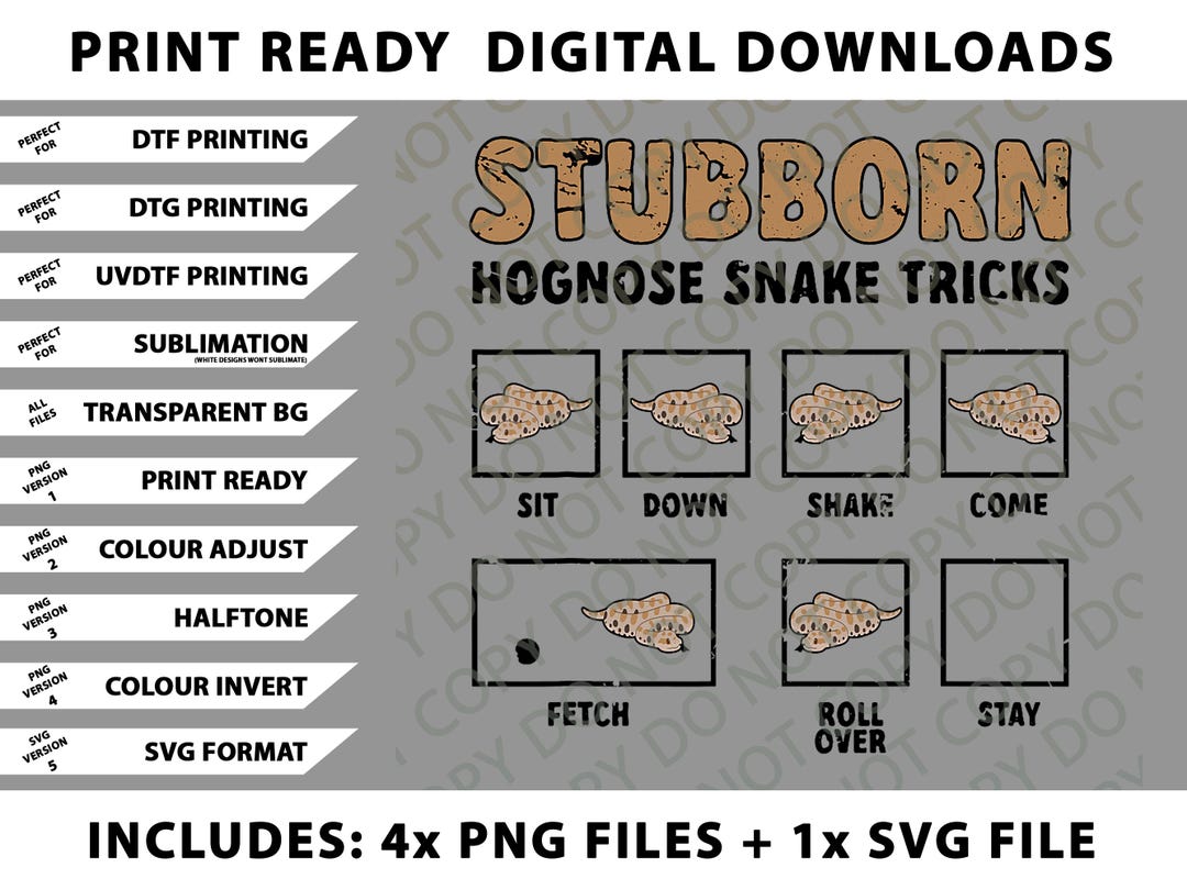 Stubborn Hognose Snake Owner Hognose Snake Lover Png Bundle, SVG Files ...