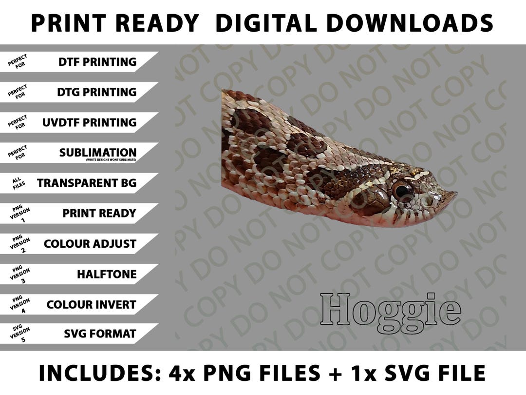 Hognose Snake T Hakennasennatter Png Bundle, SVG Files, Digital ...