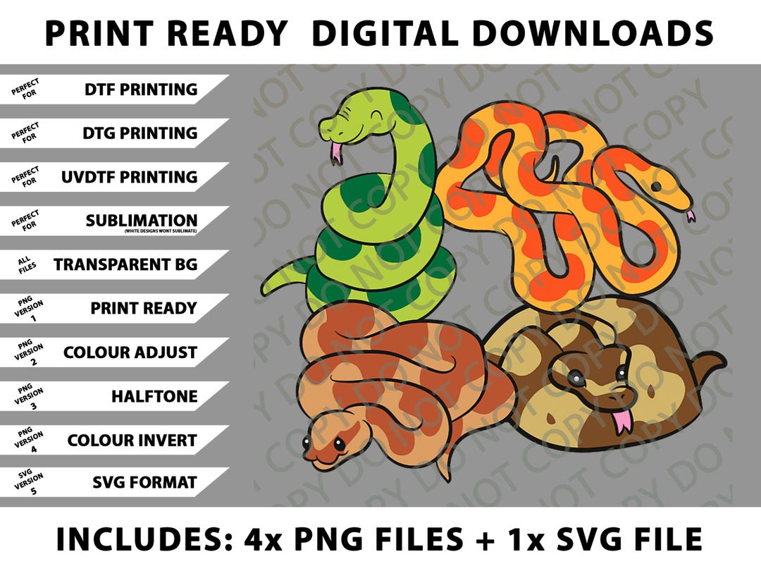 Snake Reptile Serpents Funny Snakes Png Bundle, SVG Files, Digital ...