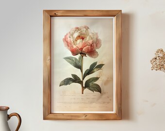 Chlorophyll Science Print Botanical Flower Print Floral Gift Poster ...