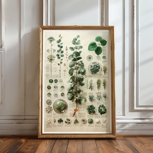 Chlorophyll Science Print Botanical Flower Print Floral Gift Poster ...