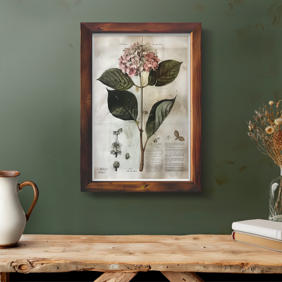Hydrangea Art Neutral Botanical Plant Art Flower Print Trendy Interior ...