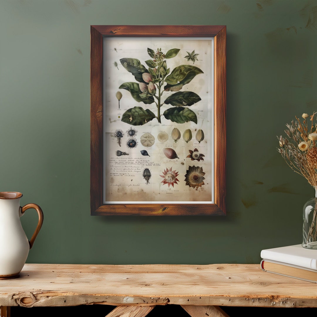 Floral Seed Illustration Neutral Botanical Art Flower Print Trendy ...